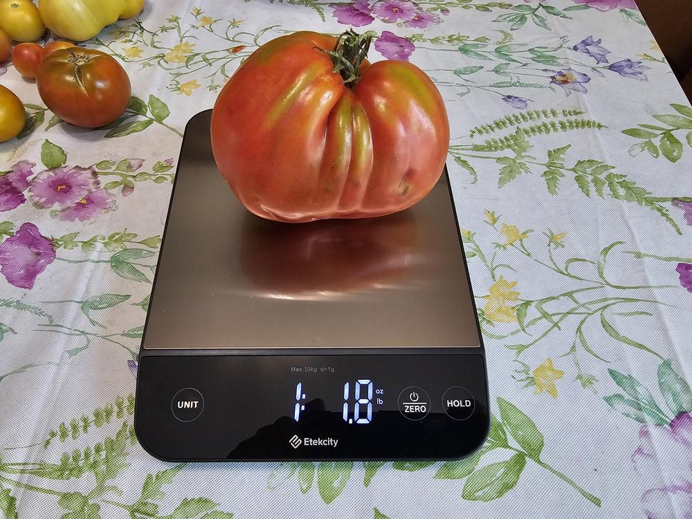 Antique Roman Tomato - Victory Seed Company